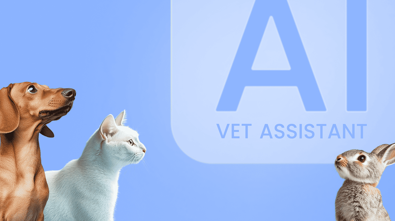 Custom Software Development Case Studies | Aristek Systems