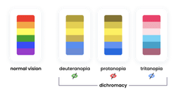 How WCAG Makes eLearning Accessible | Aristek Systems