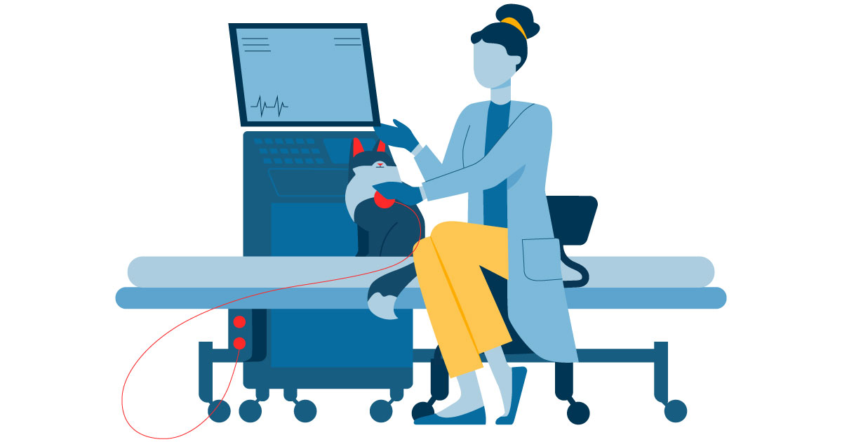 Custom-Veterinary-Software-Development-630 ...